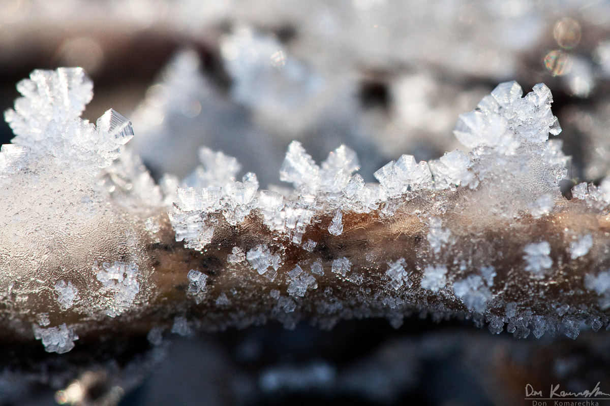 Don Komarechka Photography, Barrie Ontario » Frost Diamonds